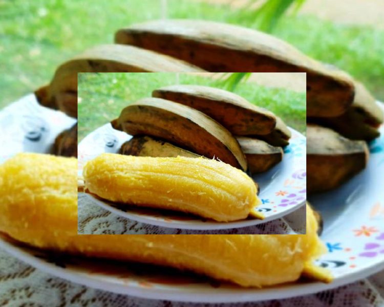 Contoh Makanan di Masa Meraih Kemerdekaan – idsch.id